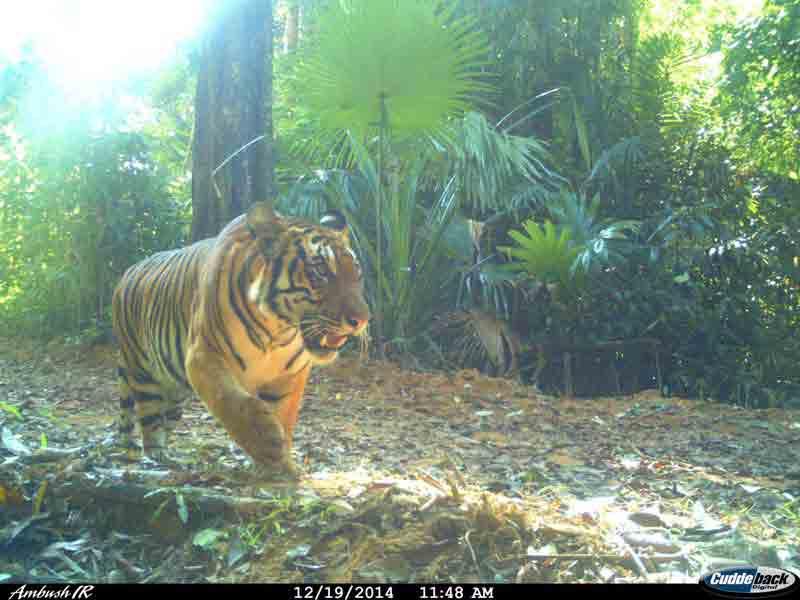 Myanmar Biodiversity Fund